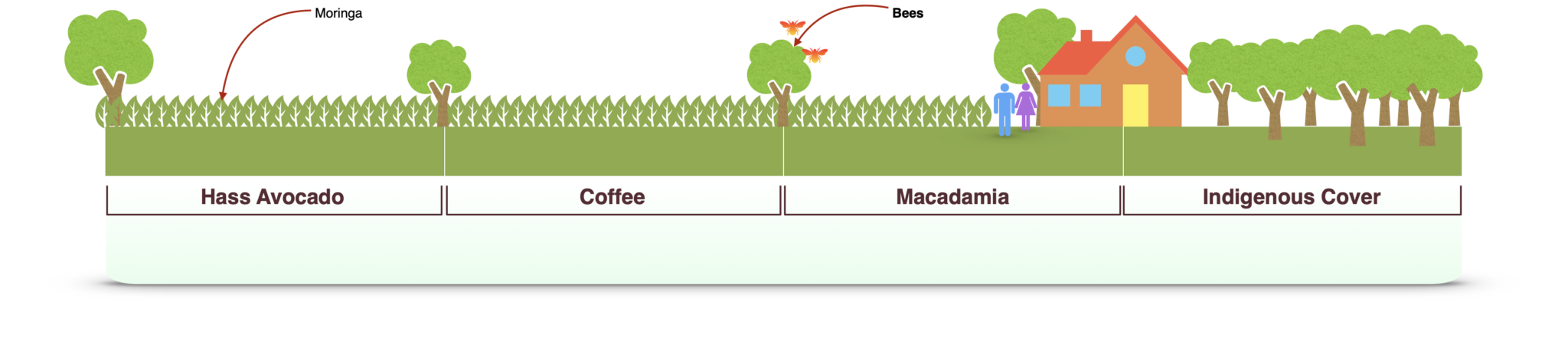 SIP Supply Chain – Raintree Farms Limited
